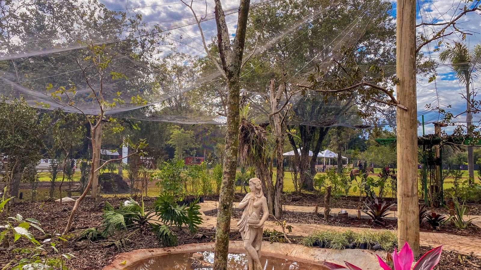 Dreams Eco Park ganha recinto de Imersão das Aves – Dreams Park Show